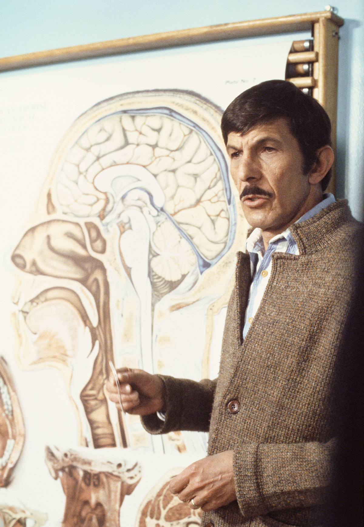 Seizure: The Story of Kathy Morris | TrekkerScrapbook