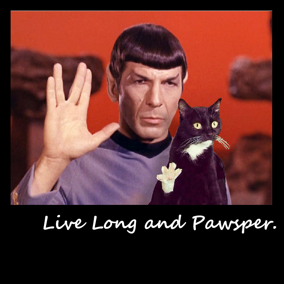 Caturday with Spock #2 | TrekkerScrapbook